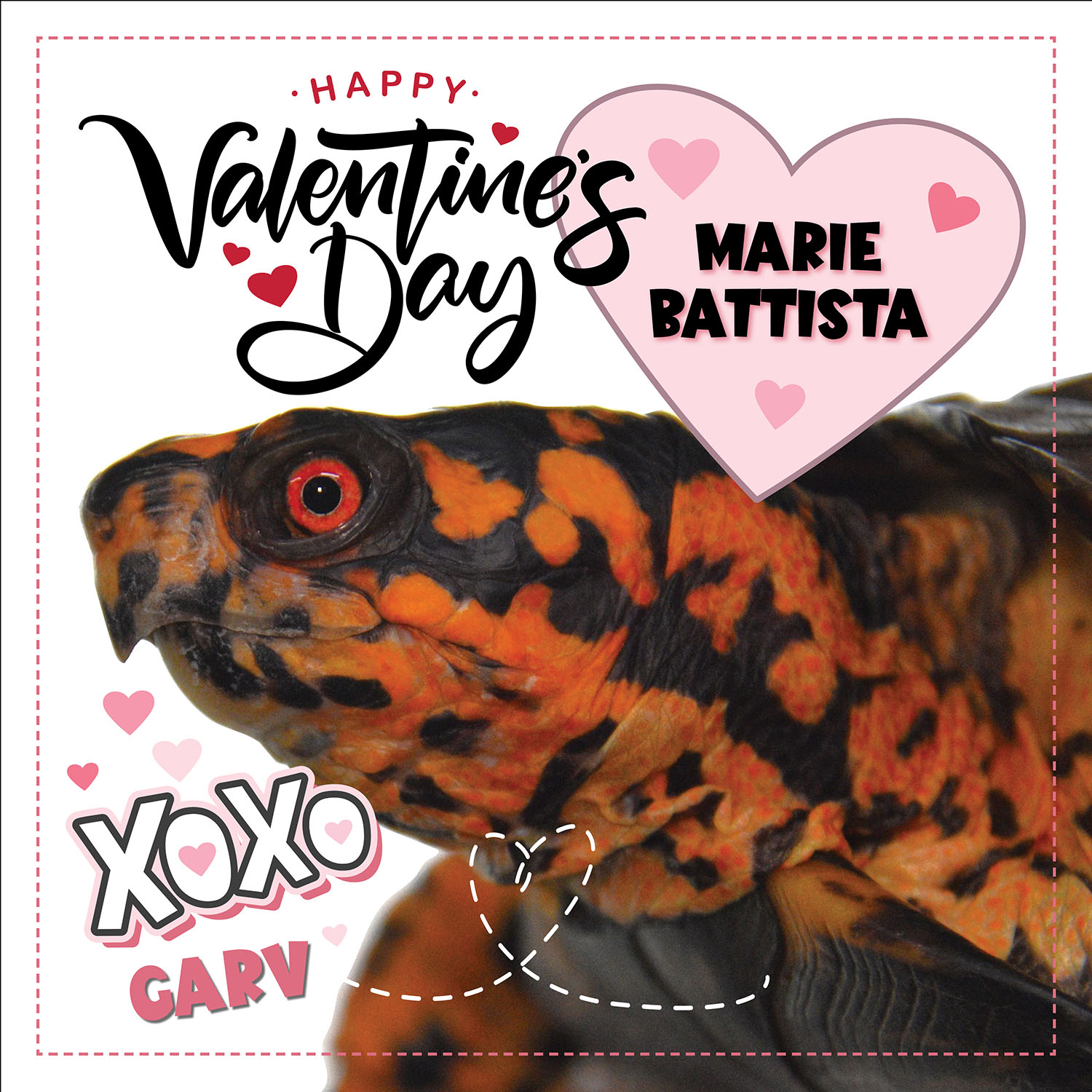 Save Wildlife – Get a Personalized E-Valentine, and be Entered to Win a ...