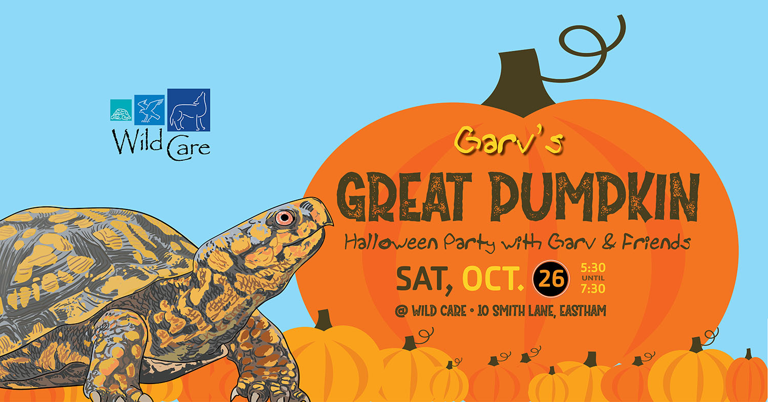 GARV’S GREAT PUMPKIN HALLOWEEN PARTY | Wild Care