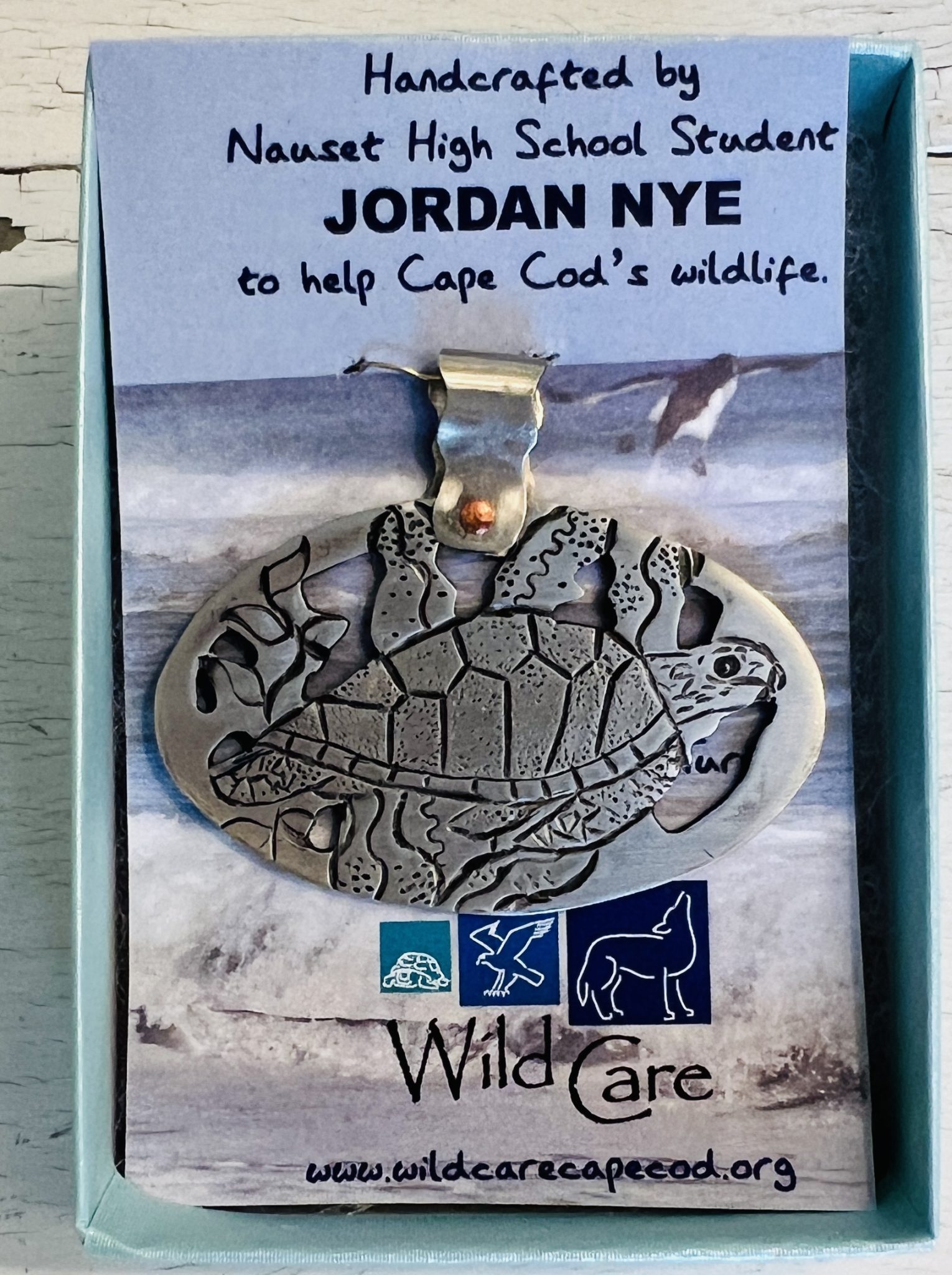 jordan nye | Wild Care